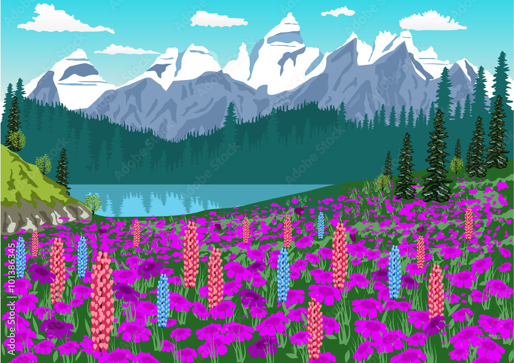 Alpine meadow with delphinium and rhododendrons in the Alps Stock ...