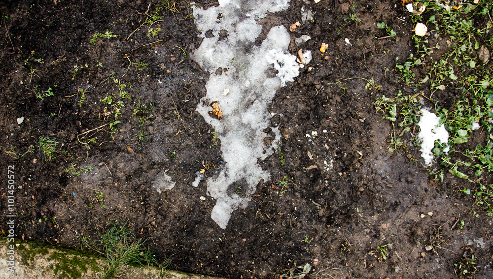 Melted snow on a field. Dirt and snow. Sand and Snow. background ...