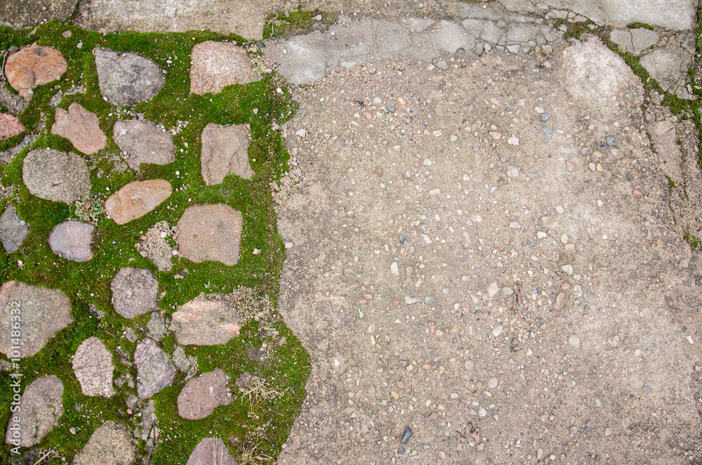 Brick pavement blocks. Cobbled pavement. Green moss on old stone ...