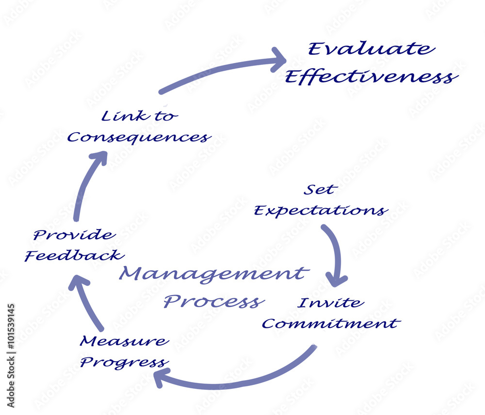 Diagram of management process Stock Illustration | Adobe Stock