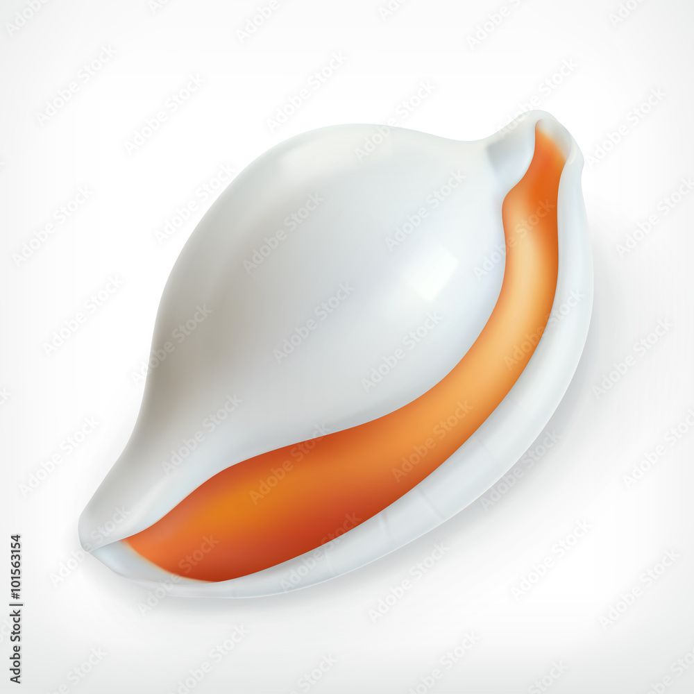 White shell, vector icon Stock Vector | Adobe Stock