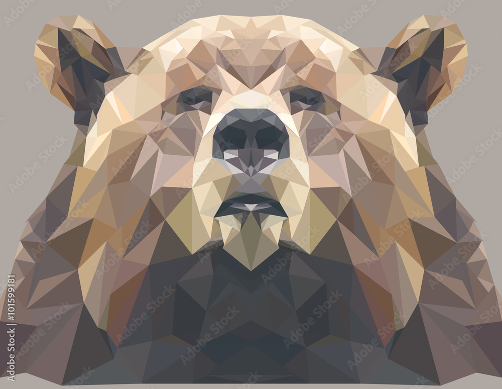 Brown bear portrait. Abstract low poly design. Vector illustration ...
