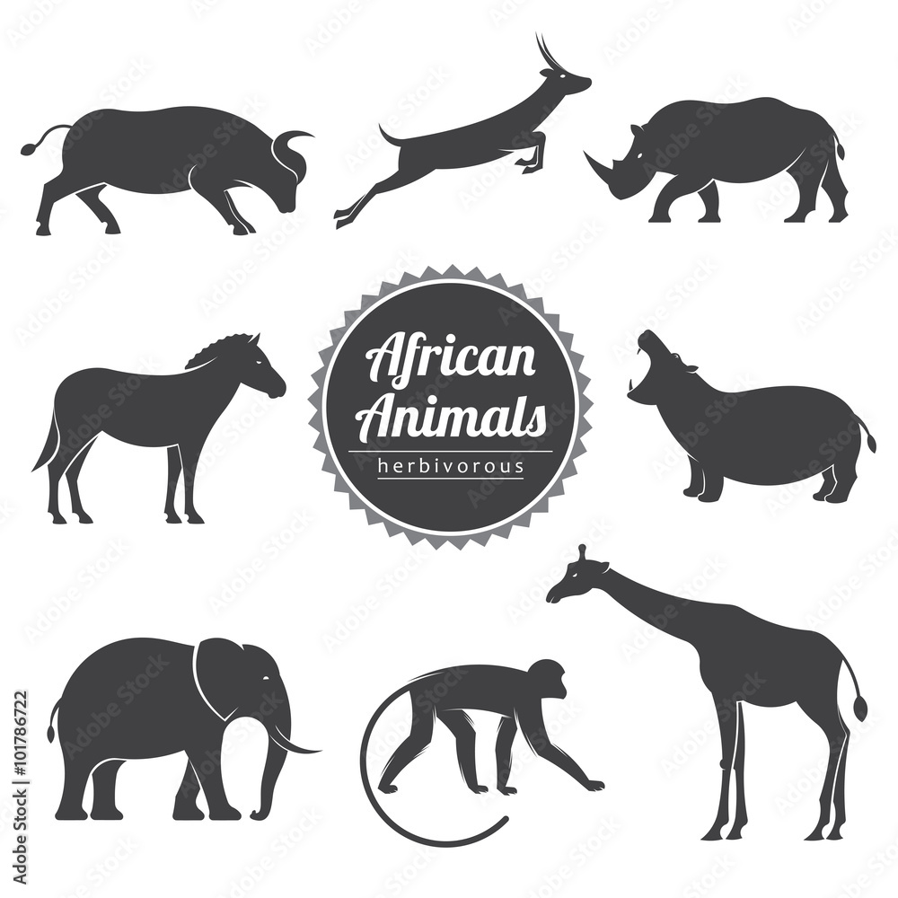 vector animals set Stock Vector | Adobe Stock