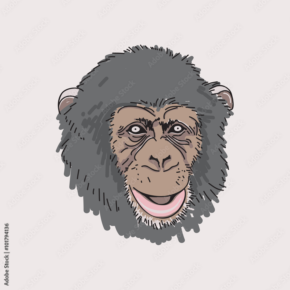 Monkey Vector Illustration Stock Vector | Adobe Stock