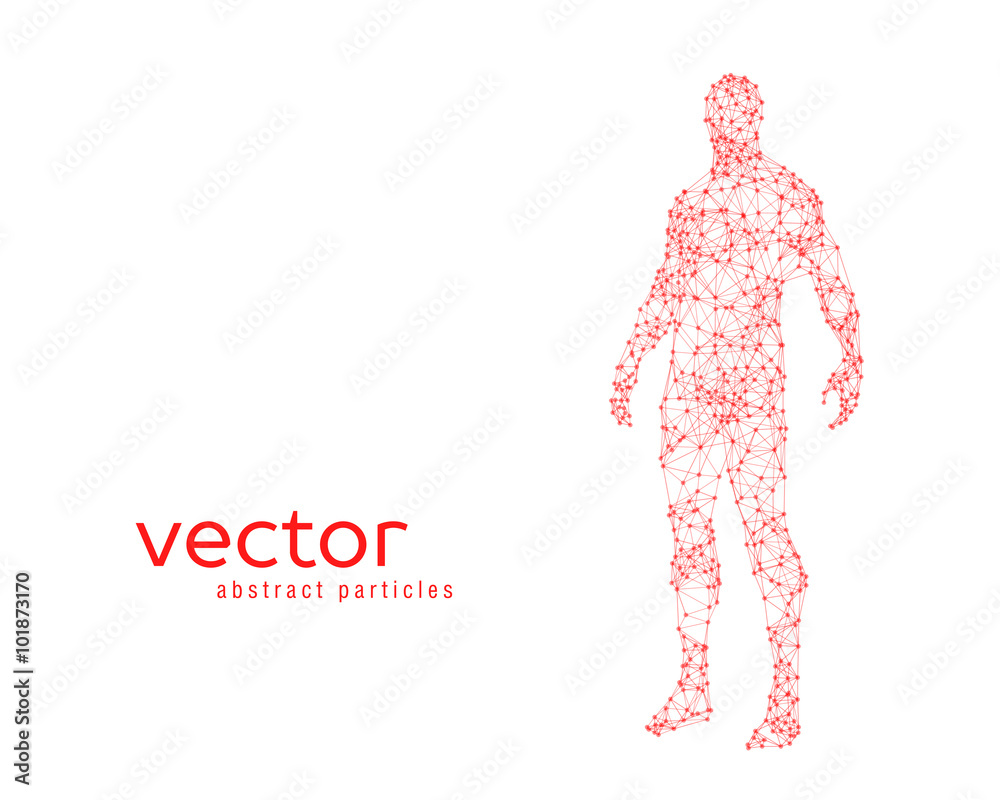 Vector illustration of human body Stock Vector | Adobe Stock