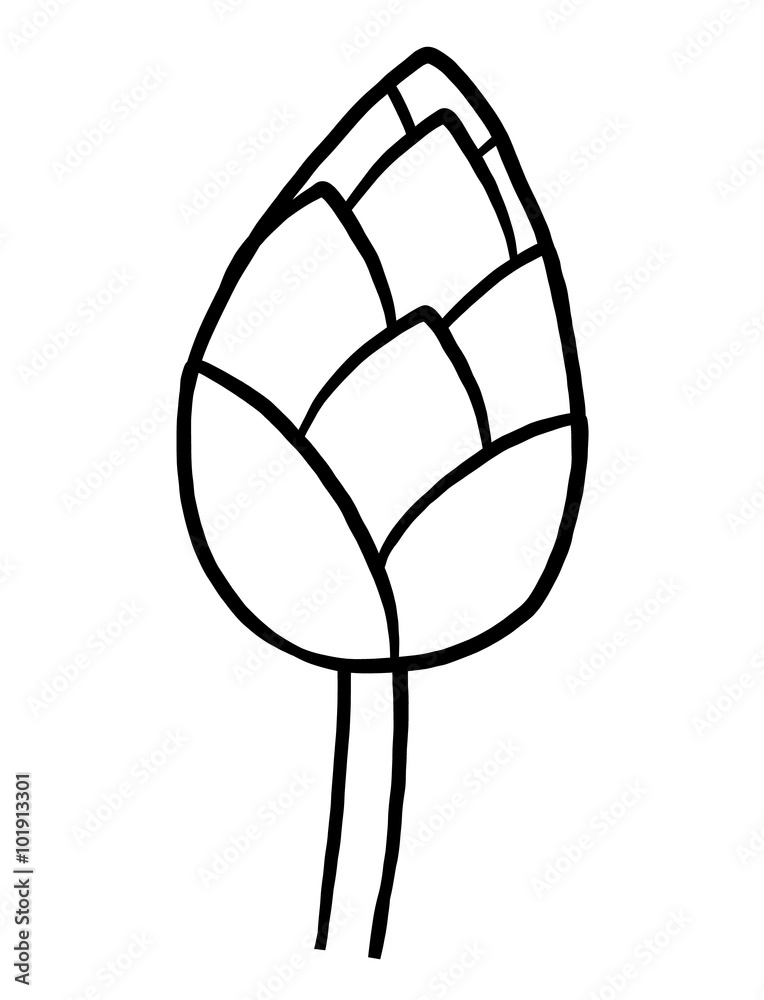 bud lotus flower / cartoon vector and illustration, black and white ...