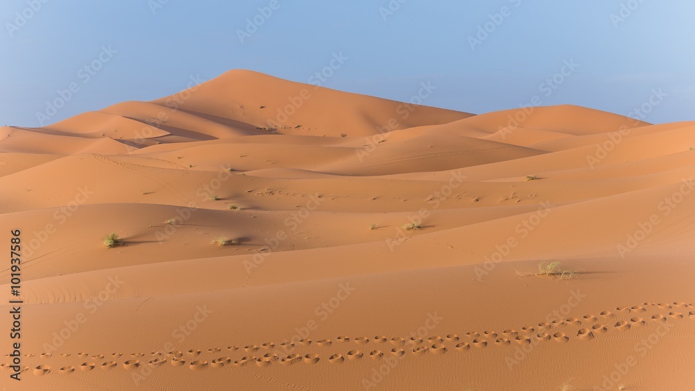 exploring the sahara desert in morocco Stock Photo | Adobe Stock