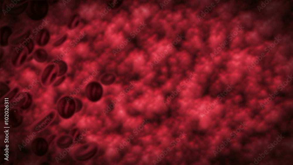 flow of red blood cells inside a vein, the cells change color from red ...