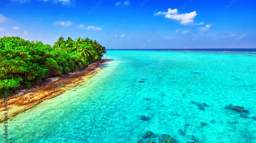 Foto de Shoreline of a tropical island in the Maldives and view of the ...