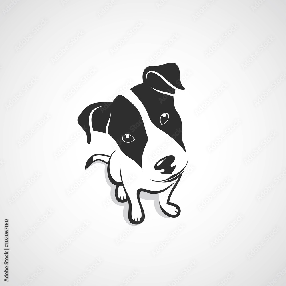 Jack Russell Terrier Stock Vector | Adobe Stock