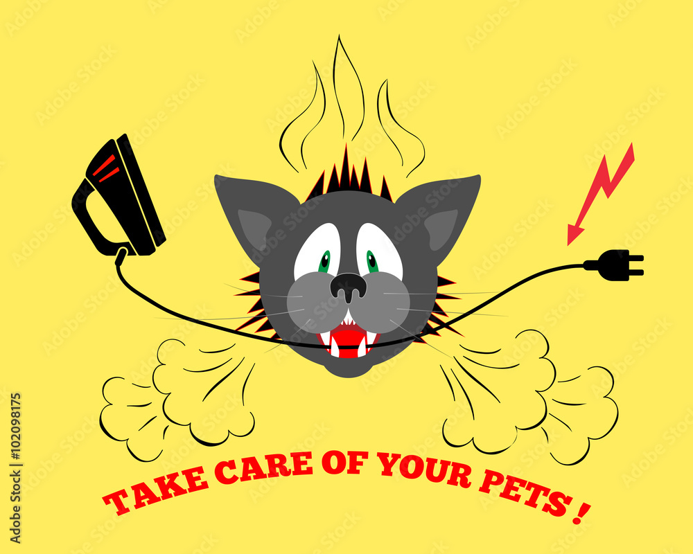 Cats head bite electrical wire, cable. Care of pets. Danger info ...