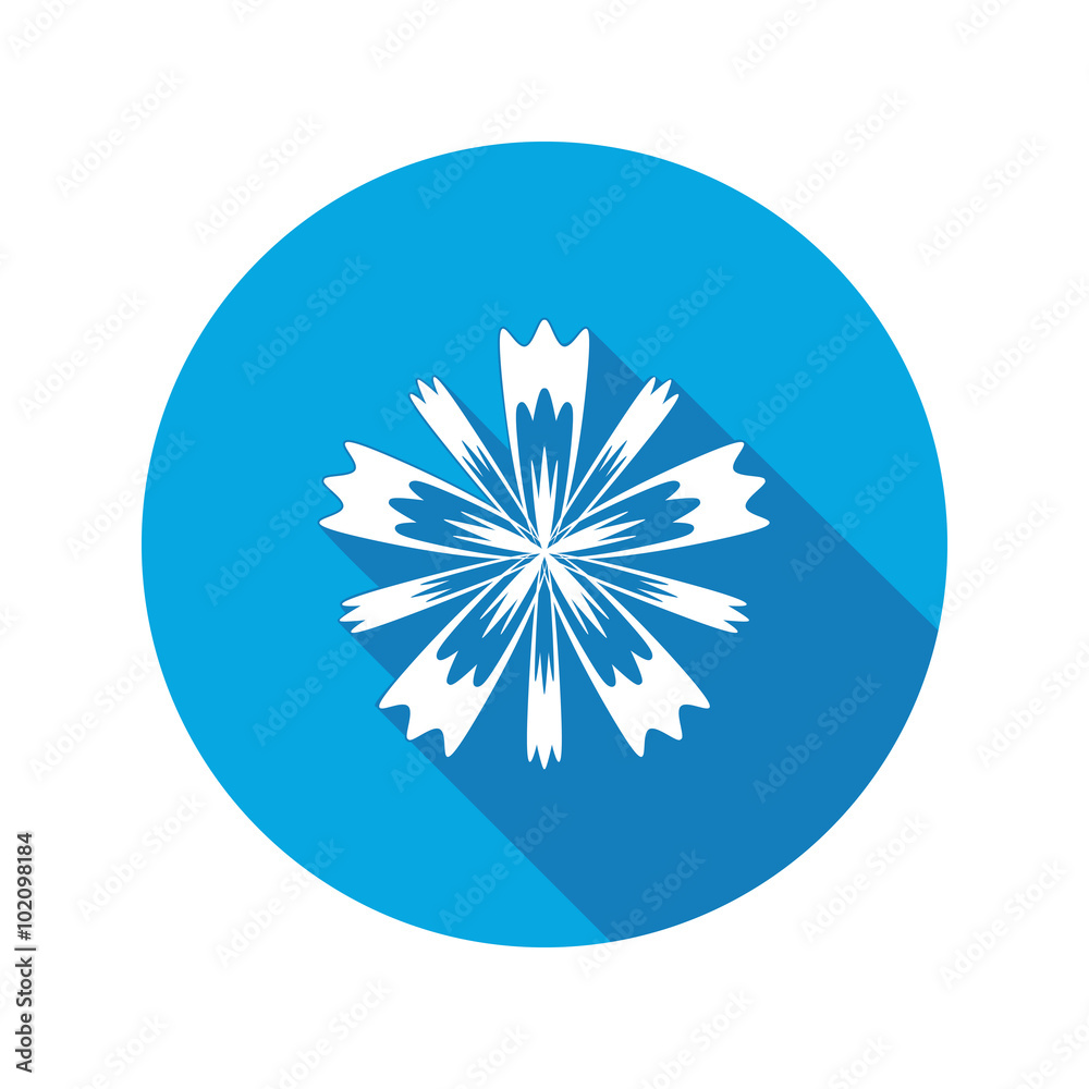 Cornflower, blue poppy, centaury, knapweed flower icons. Spring floral ...