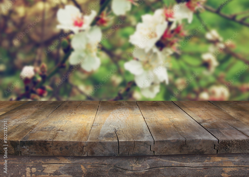wooden rustic table in front of spring white cherry blossoms tree ...