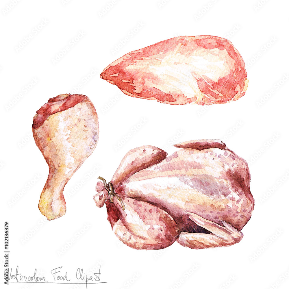 Watercolor Food Clipart - Meat Stock Illustration | Adobe Stock