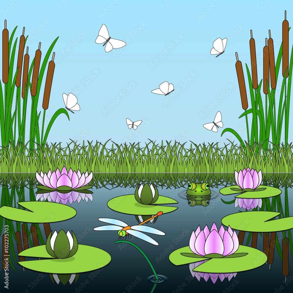 Cartoon Ponds