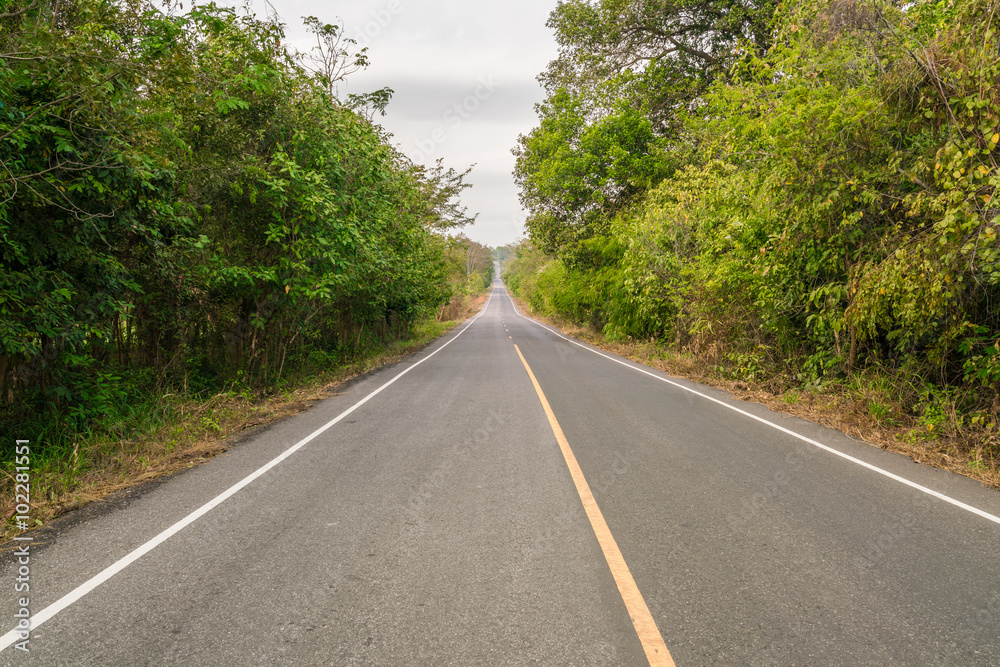 Long macadamized road ahead with trees and sky clouds : countryside ...