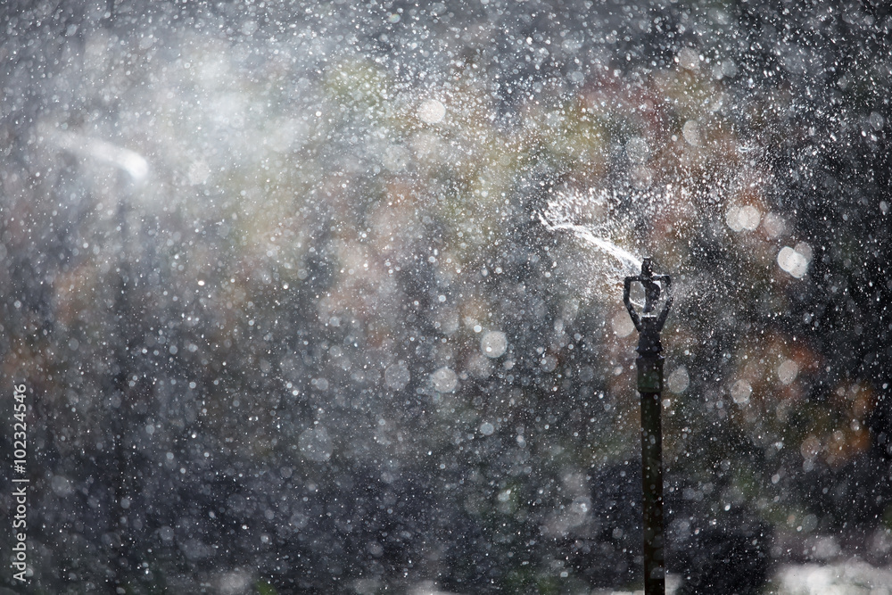 water sprinkler background. Stock Photo | Adobe Stock
