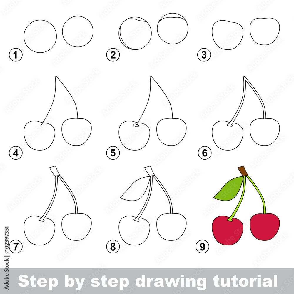 Drawing tutorial. How to draw a Cherry Stock Vector | Adobe Stock