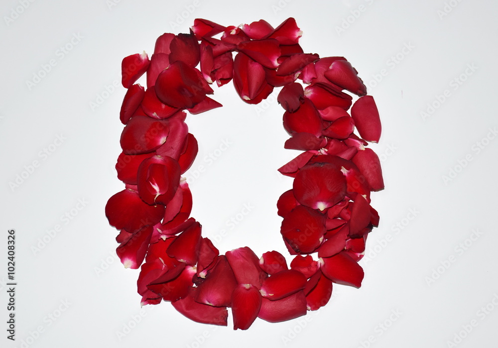 Alphabet letter O made from red petals rose on a white background Stock ...