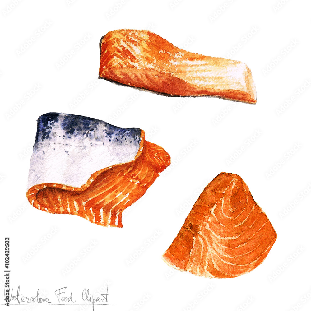 Watercolor Food Clipart - Salmon fillet Stock Illustration | Adobe Stock