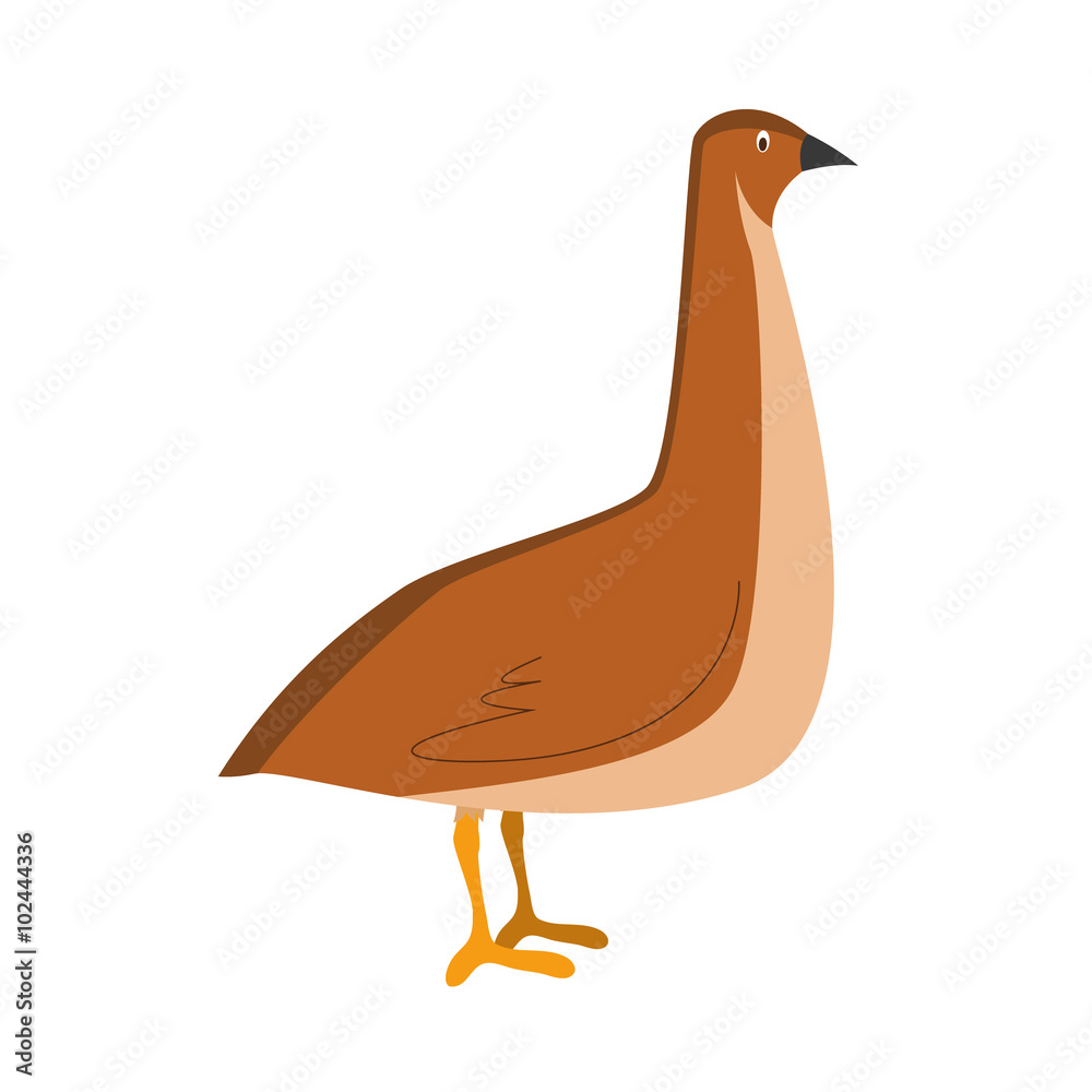 Cute cartoon quail vector illustration Stock Vector | Adobe Stock