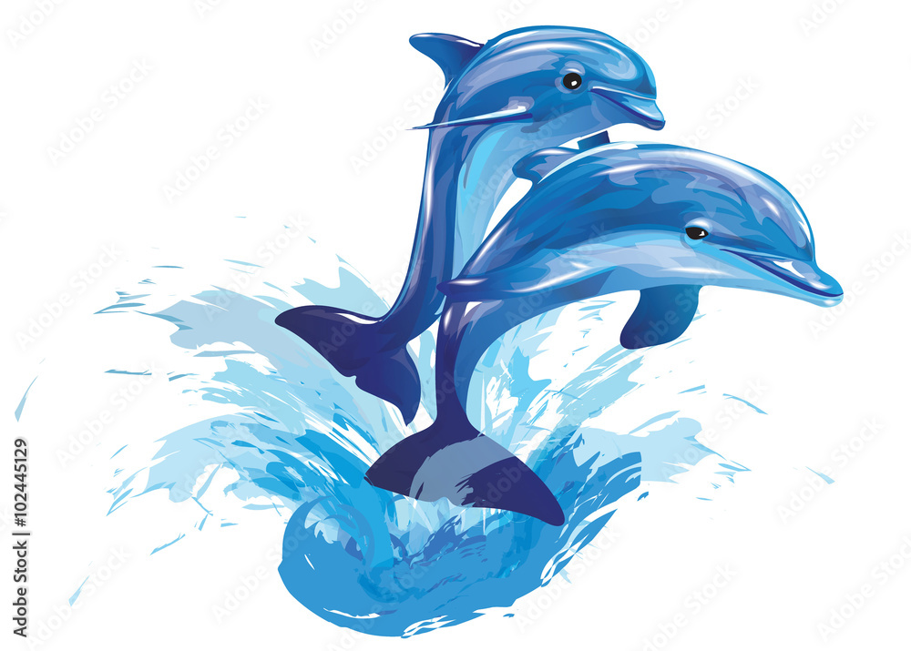 jumping dolphins Stock Vector | Adobe Stock