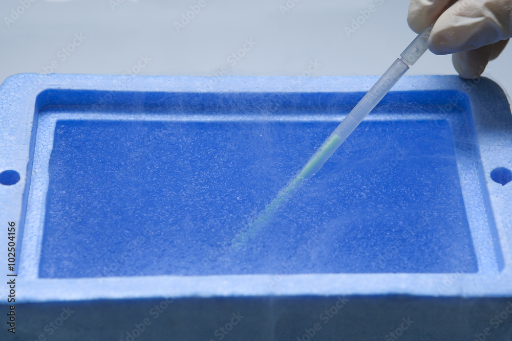 Container with liquid nitrogen in bio lab Stock Photo | Adobe Stock