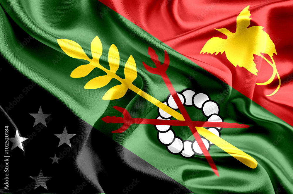 Flag of Simbu Province, Papua New Guinea Stock Illustration | Adobe Stock