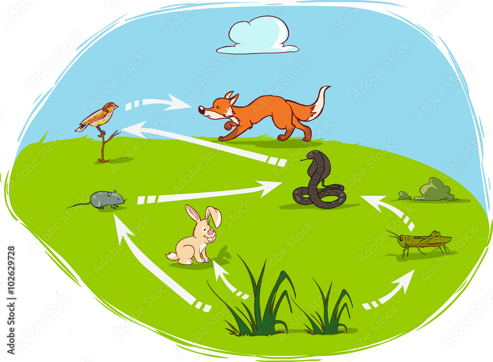 vector illustration of a ecosystem-diagram Stock Vector | Adobe Stock