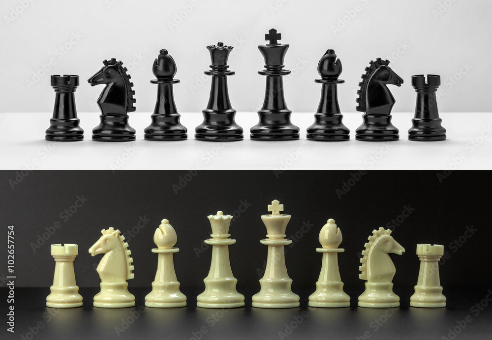 White and Black chess figures isolated on black and white background ...