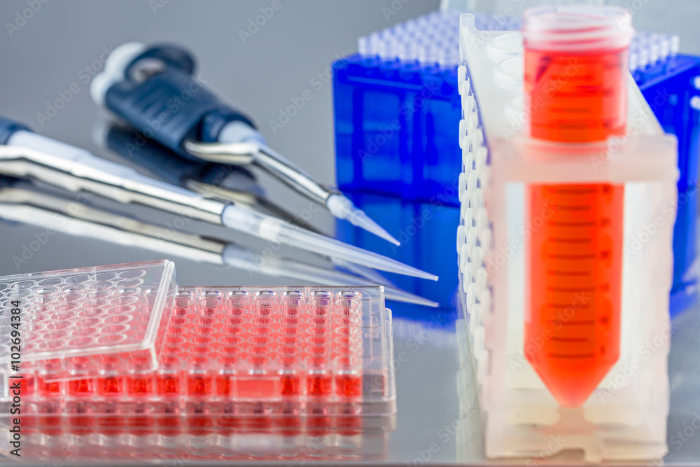 Setting up samples inside a biosafety cabinet Stock Photo | Adobe Stock