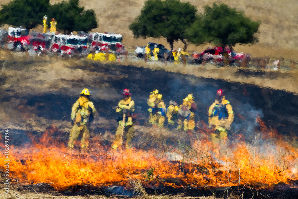 Wildland Firefighter fighting grass fire Stock Photo | Adobe Stock