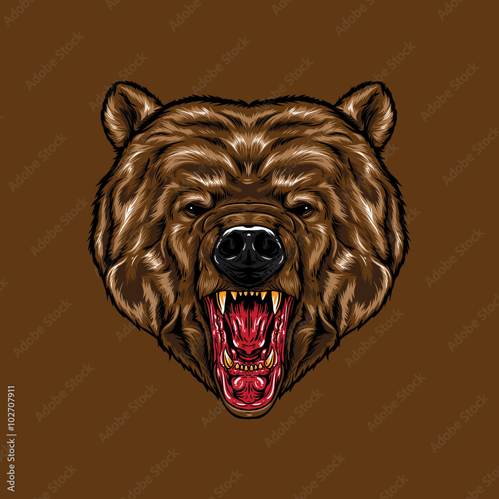 Angry Bear Face A Brown Bear Head Showing Angry Expression Stock