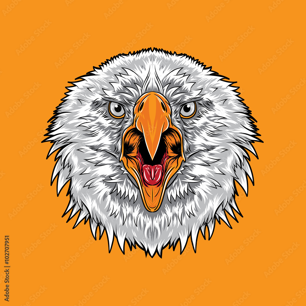 Eagle Face Front Vector