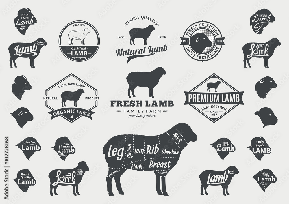 Vector Lamb Logo, Icons, Charts and Design Elements Stock Vector ...