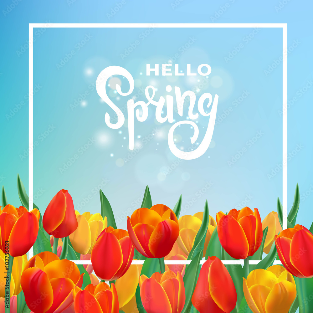 Spring illustration with tulips and frame. Stock Vector | Adobe Stock