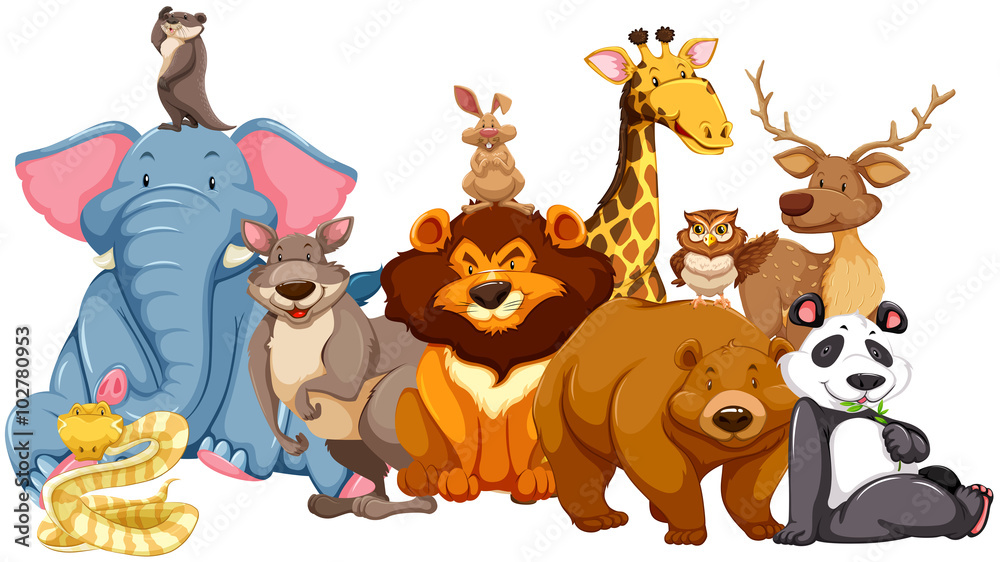 Wild animals living together Stock Vector | Adobe Stock