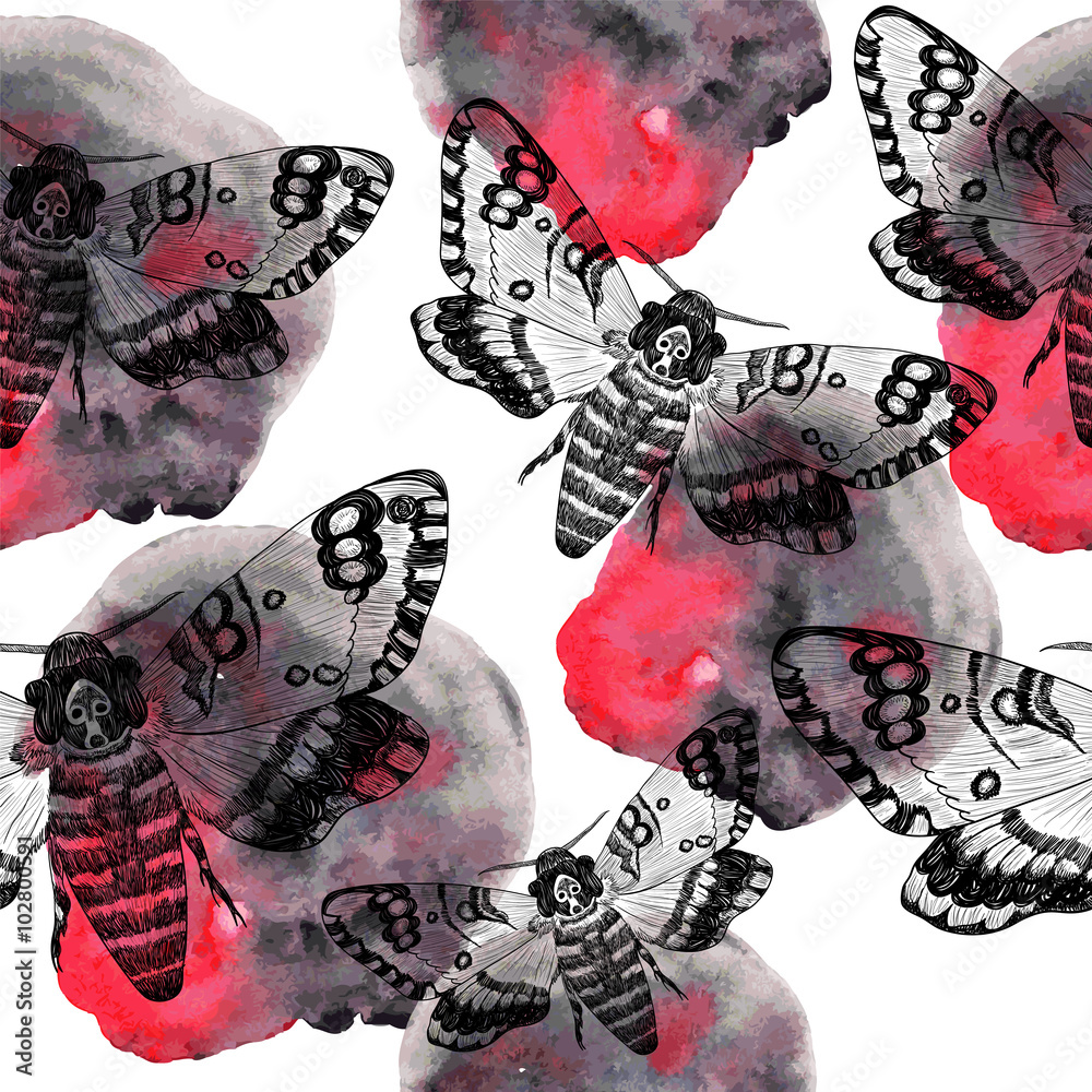 Death's-head moth pattern with watercolor stains on white background ...