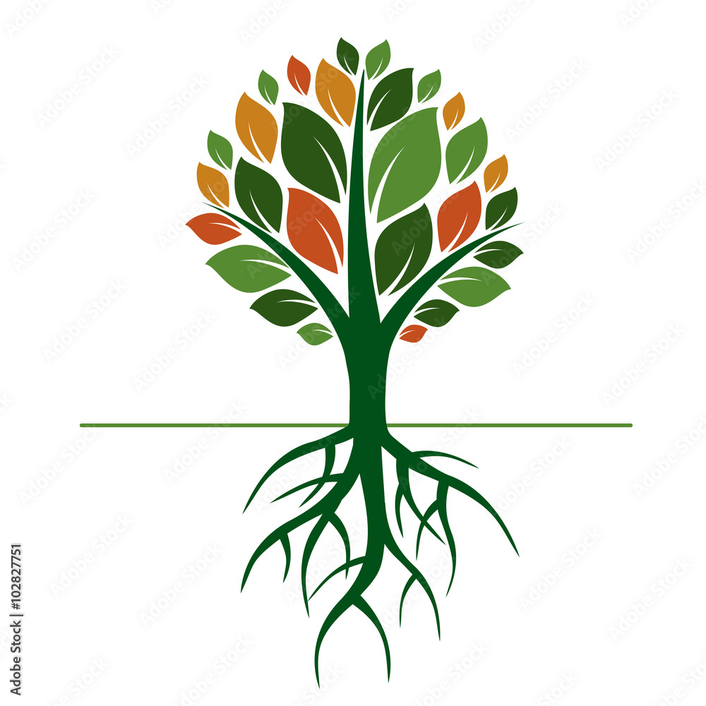 Color Tree and Roots. Vector Illustration. Stock Vector | Adobe Stock