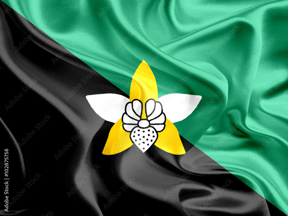 Flag of Enga Province, Papua New Guinea Stock Illustration | Adobe Stock