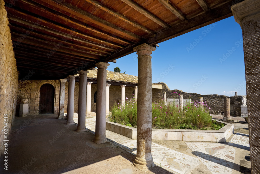 Tunisia. Ancient Carthage. Quarter of the Roman villas - House of the ...