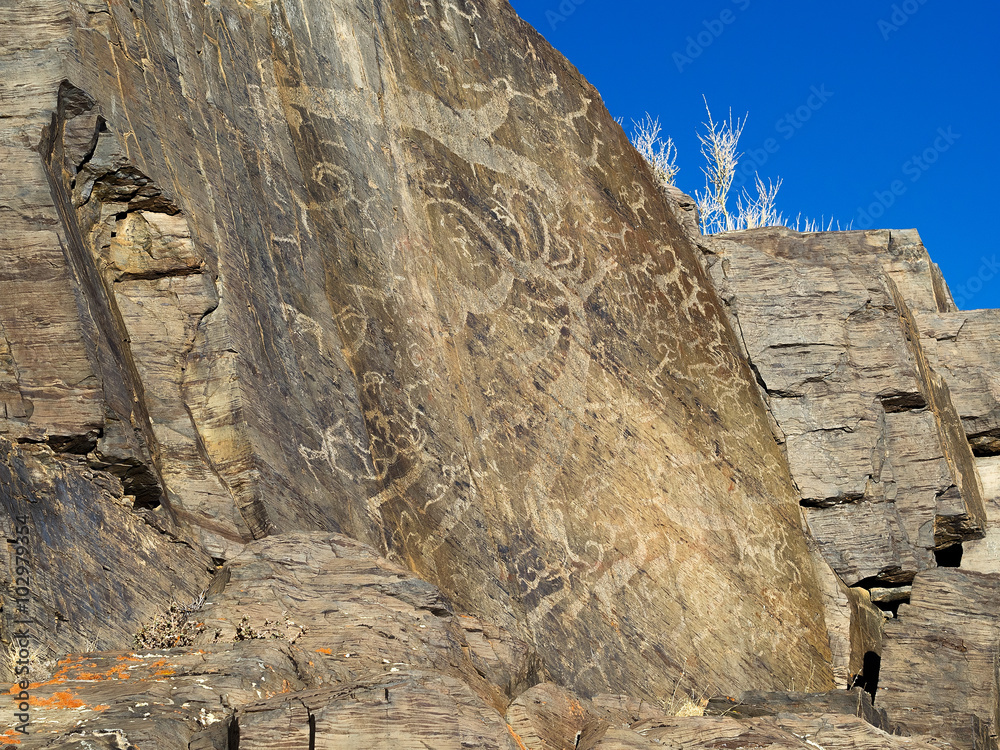 Main stone with huge solar stag. Ancient petroglyphs. Stock Photo ...