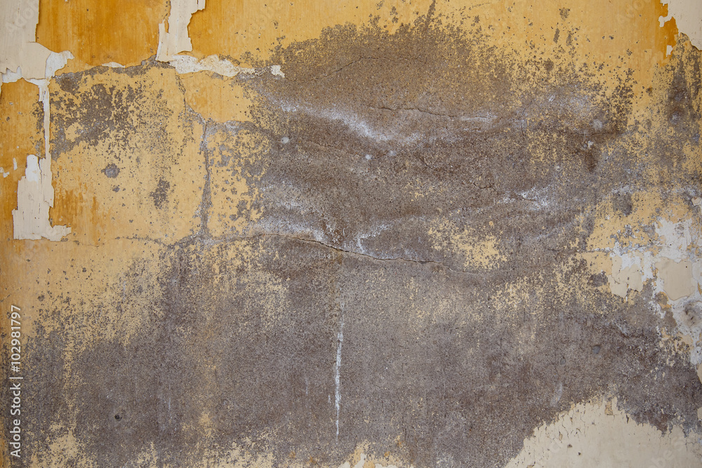 Real concrete texture background Stock Photo | Adobe Stock