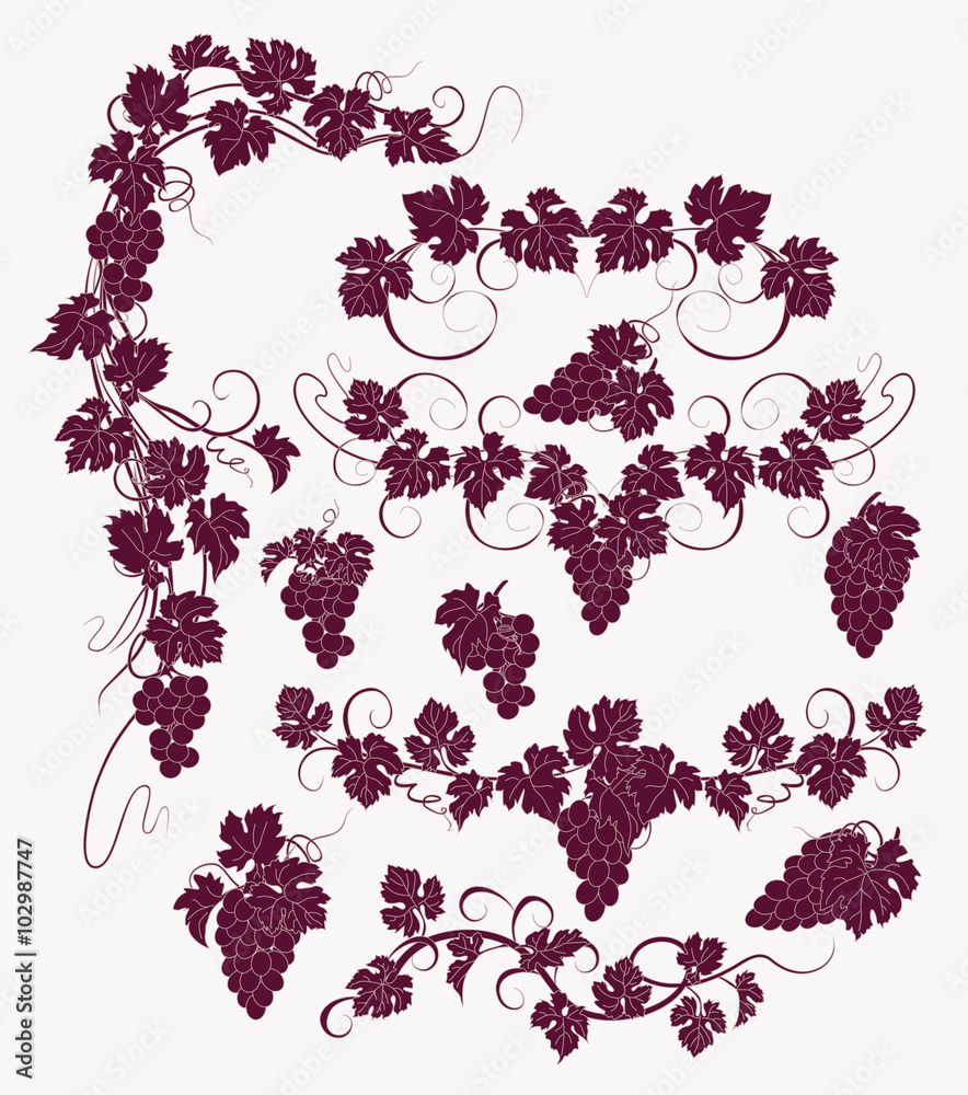 Vector design elements in vintage style with vines. Stock Vector ...