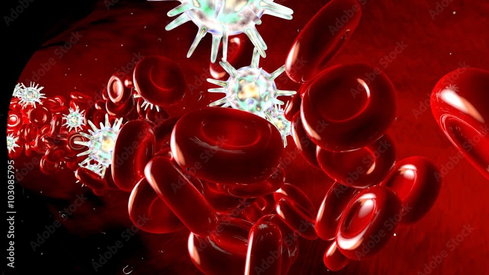 Detailed 3d animation of virus, bacteria cells infecting human red ...