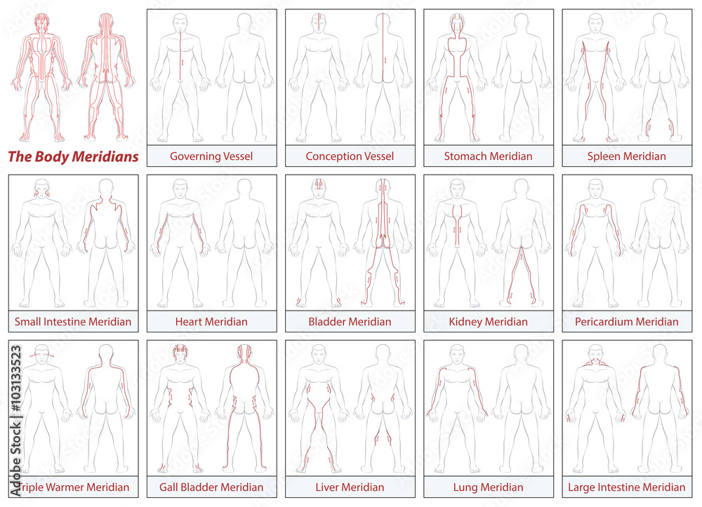 Poster Body meridians - Schematic diagram with main acupuncture ...