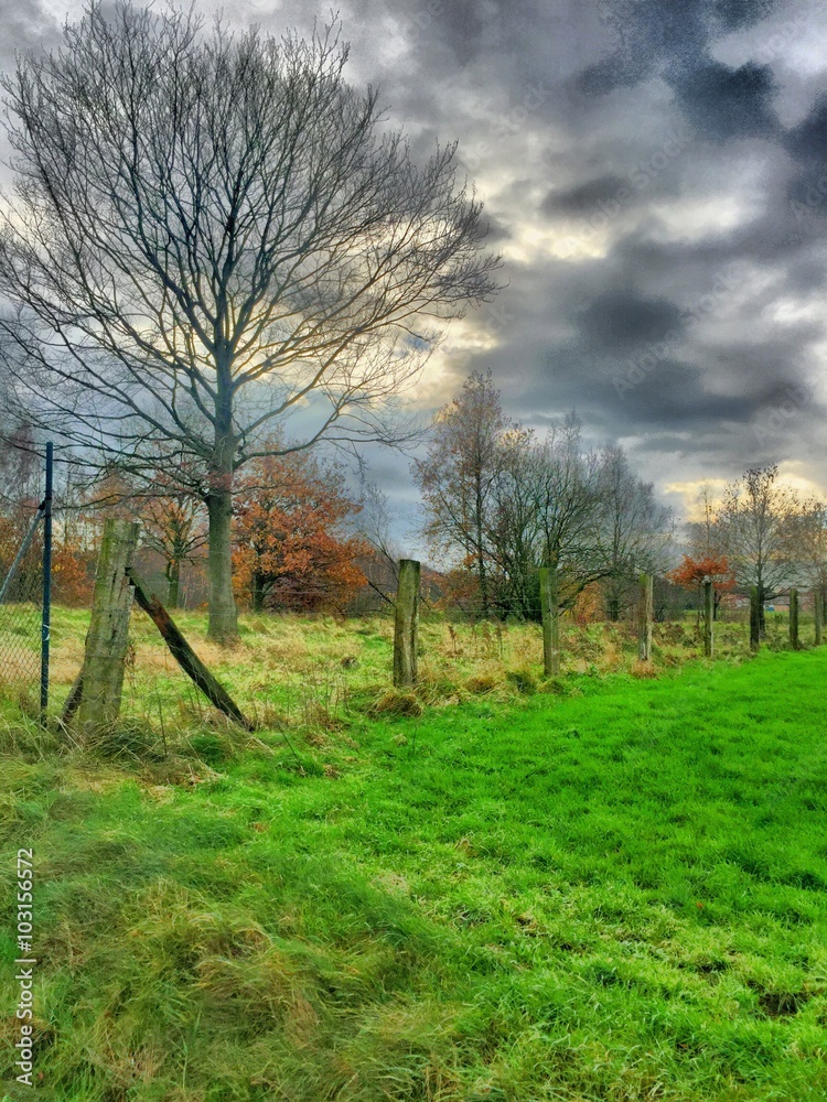 dark sky over a field Stock Photo | Adobe Stock