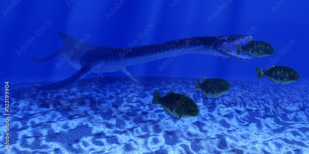Jurassic Plesiosaurus Ocean - A Plesiosaurus marine reptile sneaks up ...