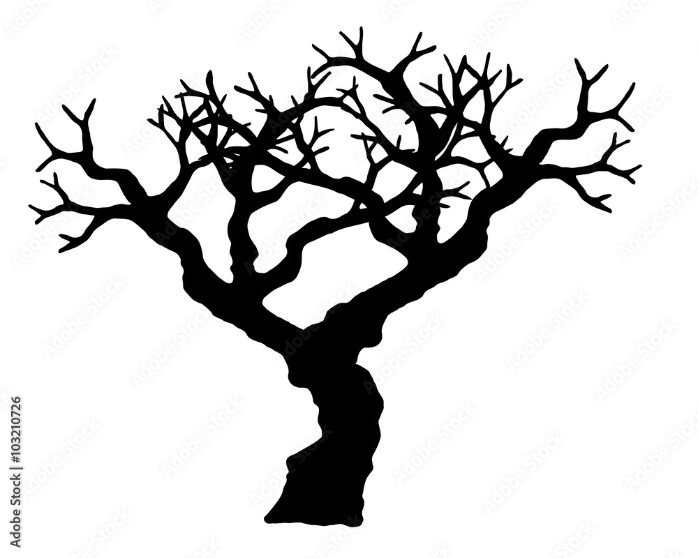 Tree vector isolated on white background. Stock Vector | Adobe Stock