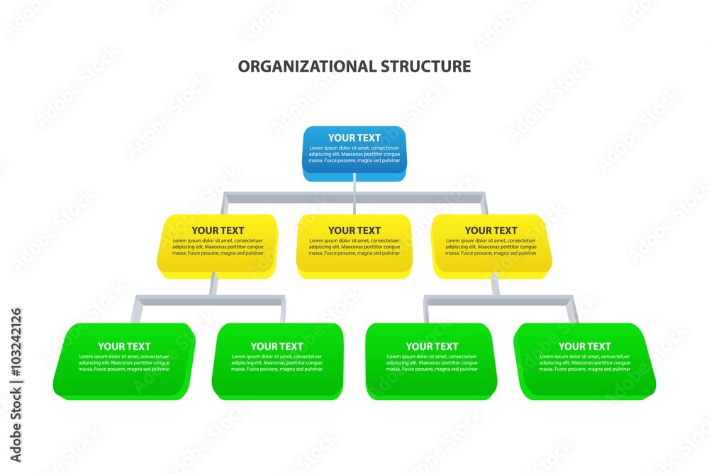 Organizational Structure - corporate hierarchy - Vector infographic ...